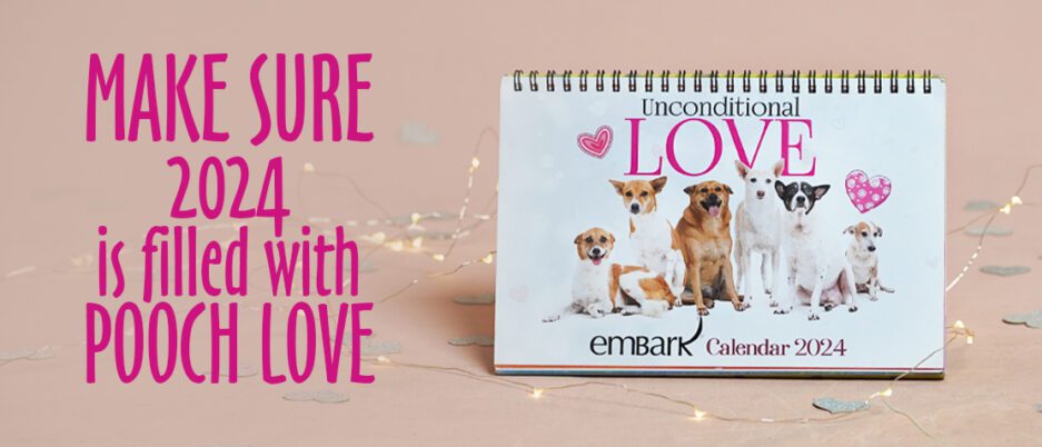Embark Shop - It's all about how to be a pashionable trendsetter